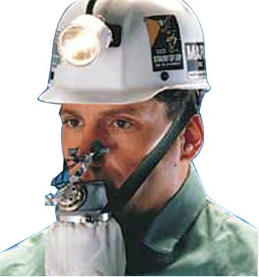 MSA W65 Self-Rescuer Respirator, Carbon Monoxide, Includes Protective ...